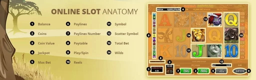 How to Play Slot Online and Win? - Luck9 Online Casino